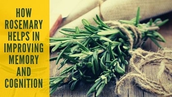 How Rosemary helps in improving memory and cognition